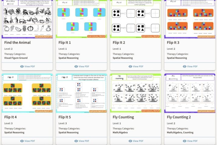 Our Visual Brain: At-Home Treatment for Strabismus and Amblyopia ...